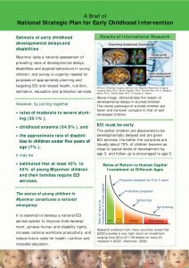 Core_Doc_ECI_Strategic_Plan_Policy_Brief_ENG | Disability Resource Pool